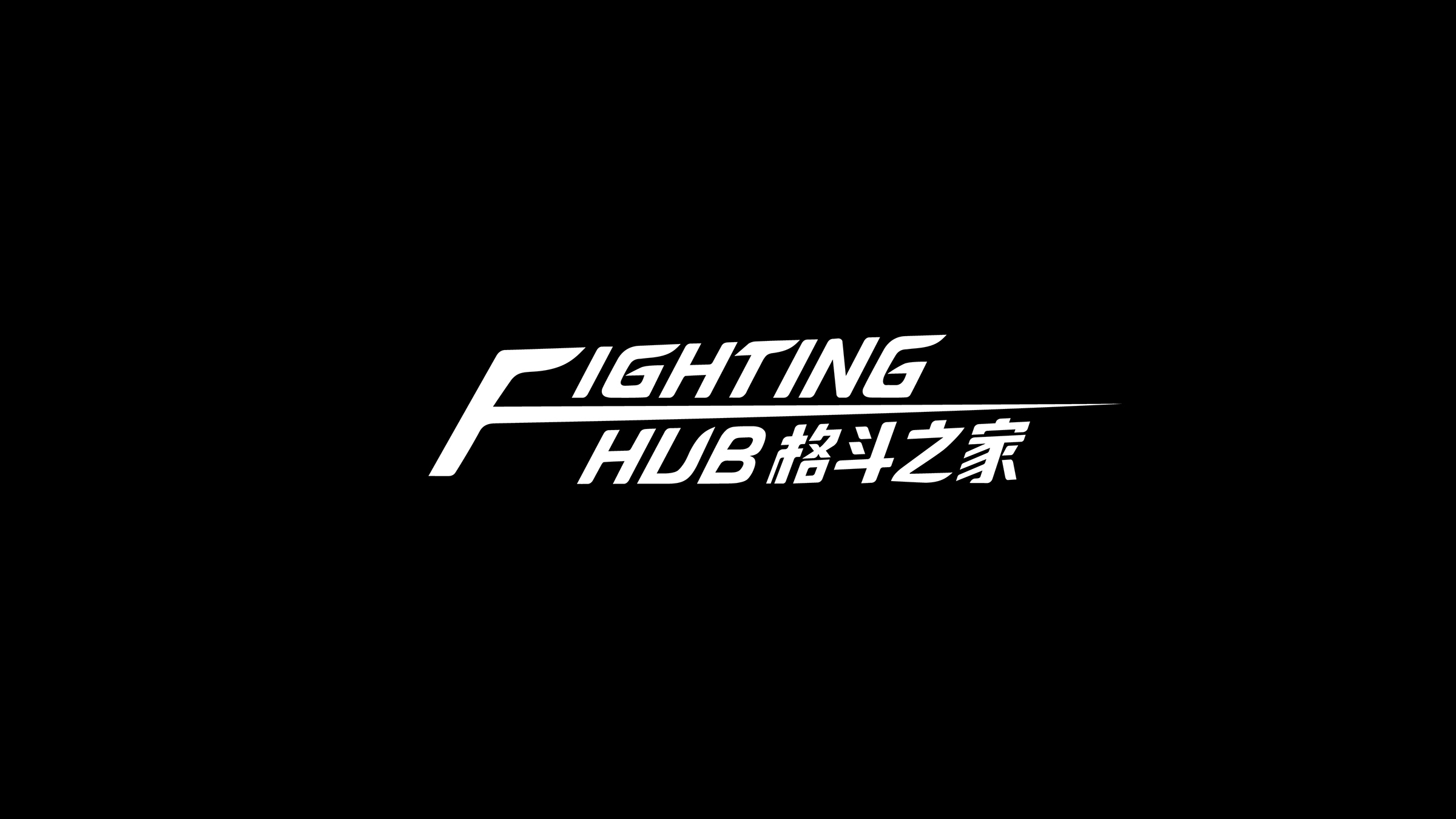 Fighting Hub – 2EM